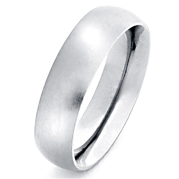 Domed Brushed Titanium Band (6mm) - SWTI886